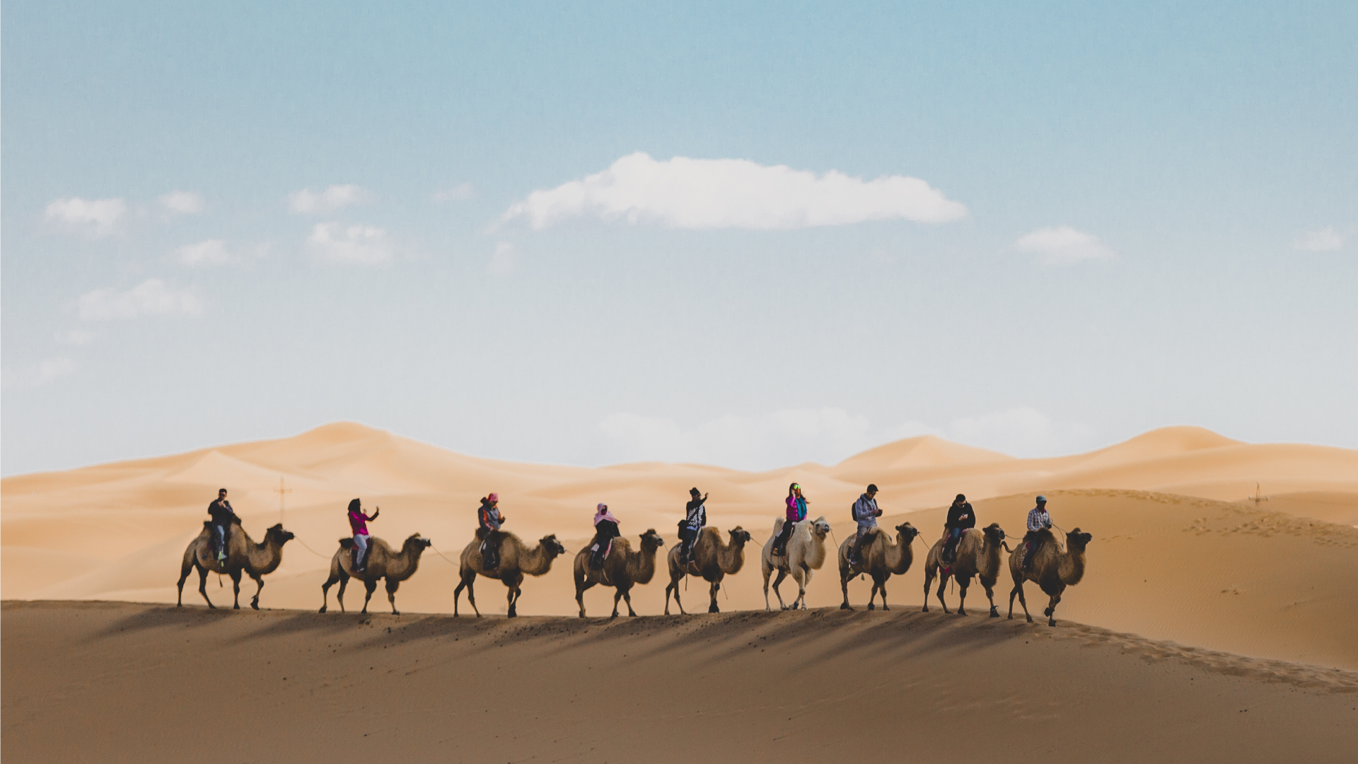 Hongxiang Films - Hongxiang Films